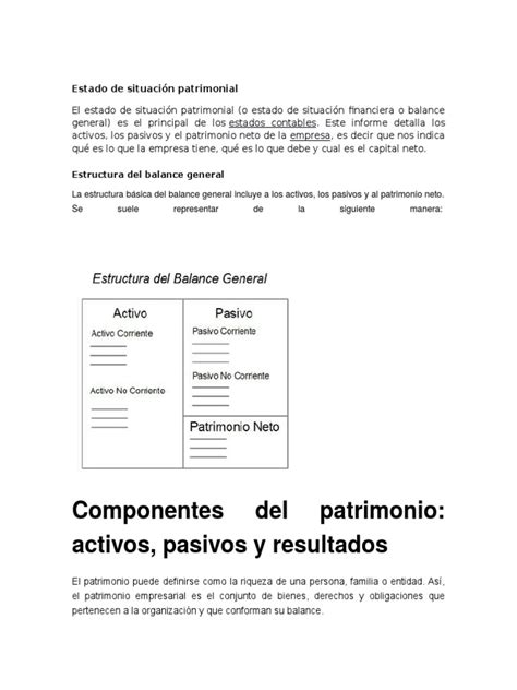 Estado De Situación Patrimonial Ejemplo Hoja De Balance Bienes Ley