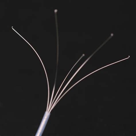 Disposable Endoscopic Rat Tooth Grasping Forceps Suppliers Factory And
