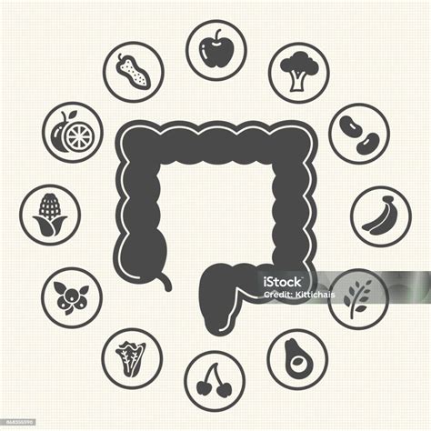 대 장 당신의 마음은 배 고 파 하는 경우 건강 한 음식과 라이프 스타일 개념 비만 개념 벡터 일러스트 아이콘 세트 둥근된