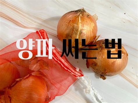 양파 써는 방법 채썰기 파스타용 깍둑썰기 네이버 블로그