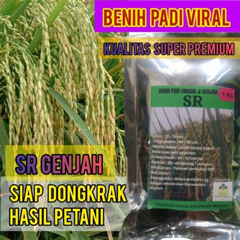 Jual Benih Padi Sr Kg Berkualitas Super Genjah Shopee Indonesia