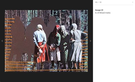 Sustained Investigation Examples Photography