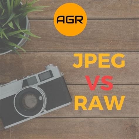 Jpeg Vs Raw Image Format Explained What Is The Difference