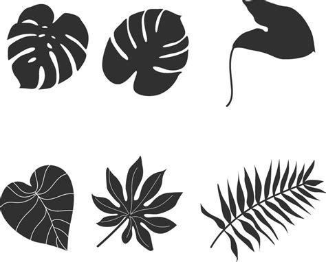 Set Of Tropical Leaves Silhouette Illustration 55546586 Vector Art At