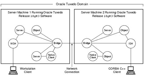 Performing Post Installation Tasks