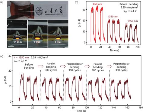 Nanowire Infrared Photodetectors At Jennifer Marshall Blog