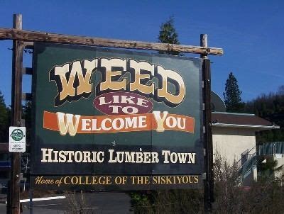 Weed California Alchetron The Free Social Encyclopedia