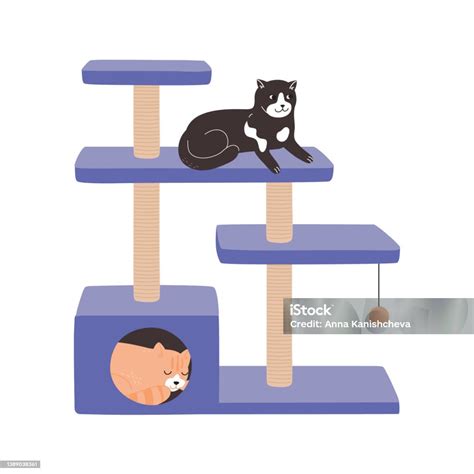 고양이는 호화로운 고양이 타워에서 휴식을 취합니다 긁힌 포스트가있는 고양이 나무 장난감 및 새끼 고양이가 자는 집 매우 페리