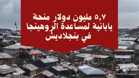 57 مليون دولار منحة يابانية لمساعدة الروهينجا والأزهر يدعو لحل مستدام