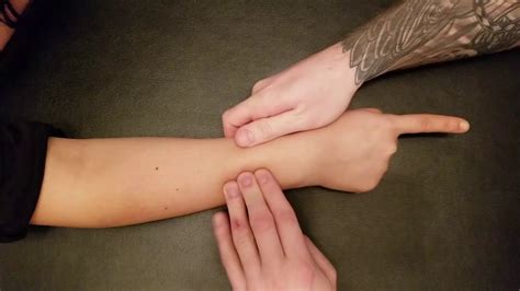 Muscle Palpation Extensor Indicis Youtube