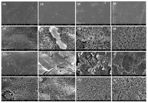 Lithium Ceramics And Glass