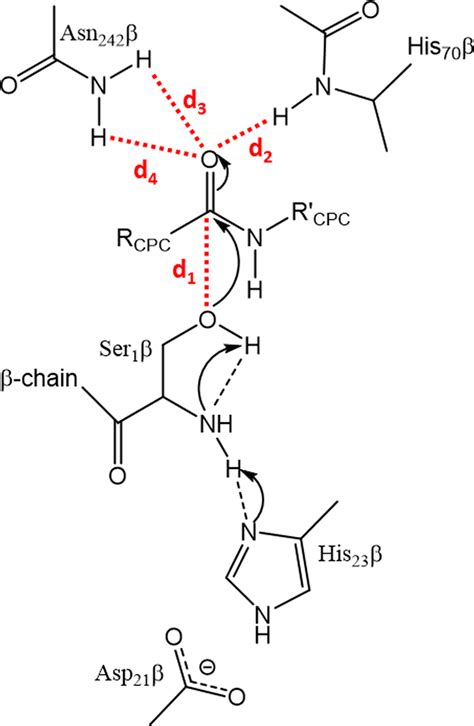 Schematic Representation Of The First Step Of The Proposed Catalytic Download Scientific