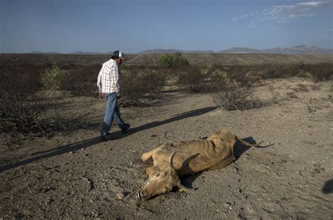 Sequía Severa En México El Norte Del País Se Seca Casi Por Completo