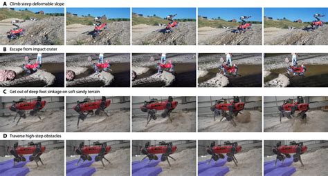 Locomotion Capability Of Our Customized Anymal Over Different