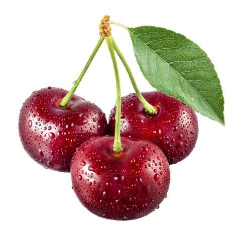 Cherry Dreams Life N Lesson