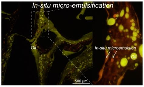 Review Microemulsions For The Sustainable Development Of Eor