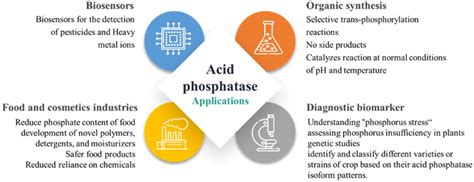 The Multifaceted Nature Of Plant Acid Phosphatases Purification