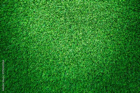 Golf Grass Texture