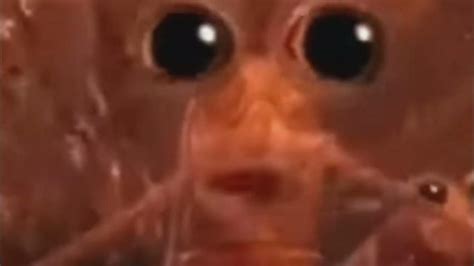I Am One In A Krillion Youtube