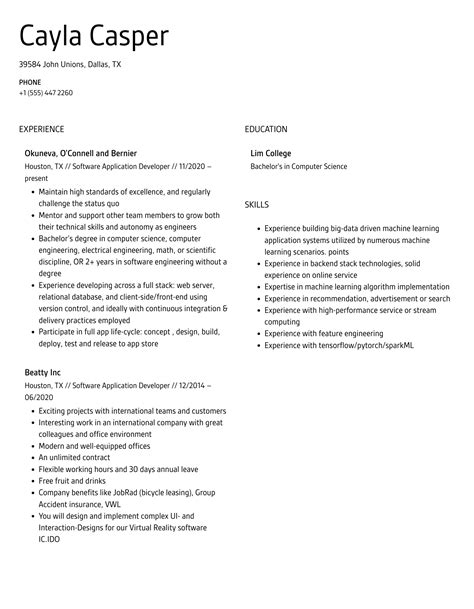 Software Application Developer Resume Samples Velvet Jobs