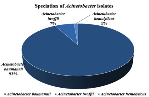Prevalence Of Extended Spectrum Beta Lactamase Esbl Metallo Beta