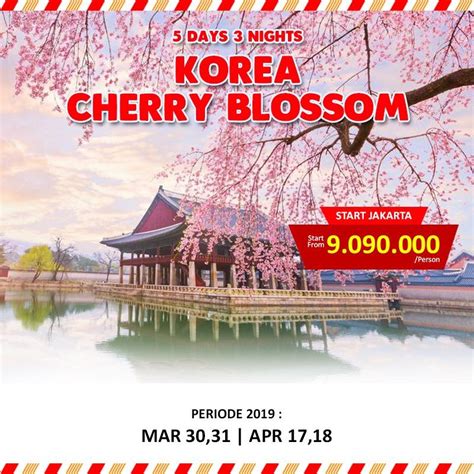 Reisya Anandari On Linkedin Korea Cherry Blossom Yuk Booking Sekarang Yaaa Sebelum Kehabisan