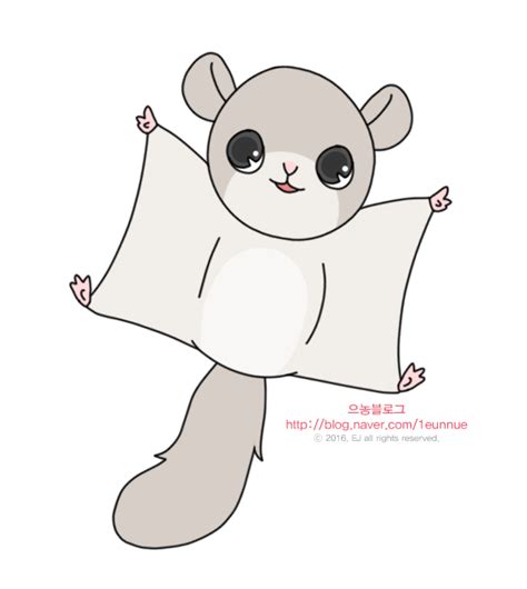 하늘을 나는 다람쥐 날다람쥐 캐릭터 그리기 네이버 블로그