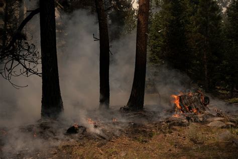 Crews Make Progress On Huge Oregon Blaze Amid Western Wildfires Pbs News