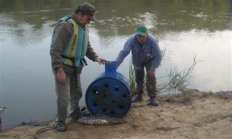 Corrientes Siguen Los Controles De Caza Furtiva Y Pesca Ilegal