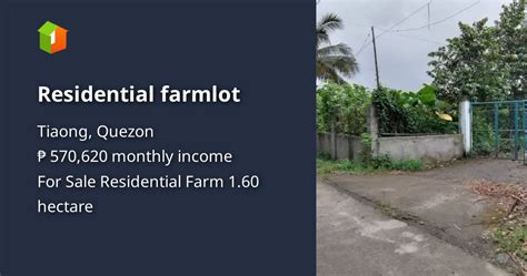 Residential Farmlot Lots 🚜 December 2022 In Tiaong Quezon For Sale