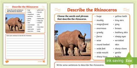 Describe The Rhinoceros Worksheet Lehrer Gemacht Twinkl