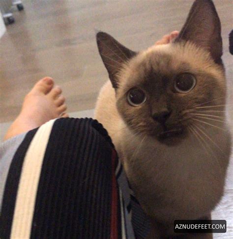 Larine Tang Feet Aznudefeet