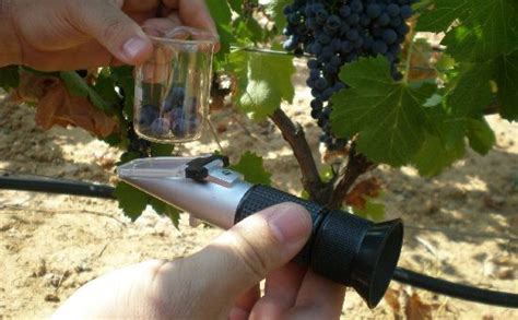 Los Grados Brix En La Agricultura Moderna Agromática