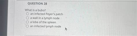 Solved Question 28what Is A Buboan Infected Peyers Patcha