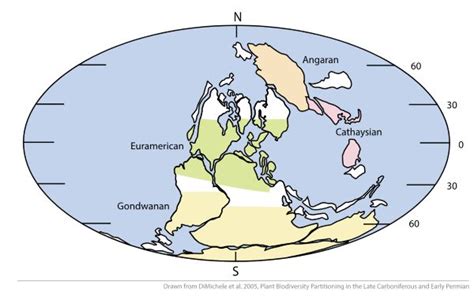 Pangaea The Prehistoric United Continents In Earths Geological History