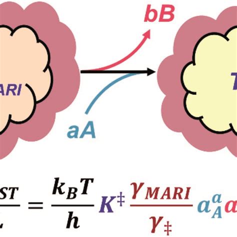 A General Reaction Scheme Illustrating The Quantitative Effects Of Download Scientific Diagram