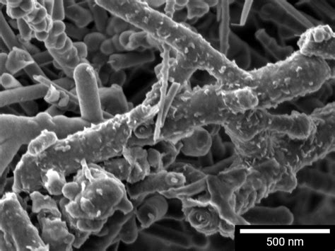 Surface And Subsurface Characterization Tescan Fibsem