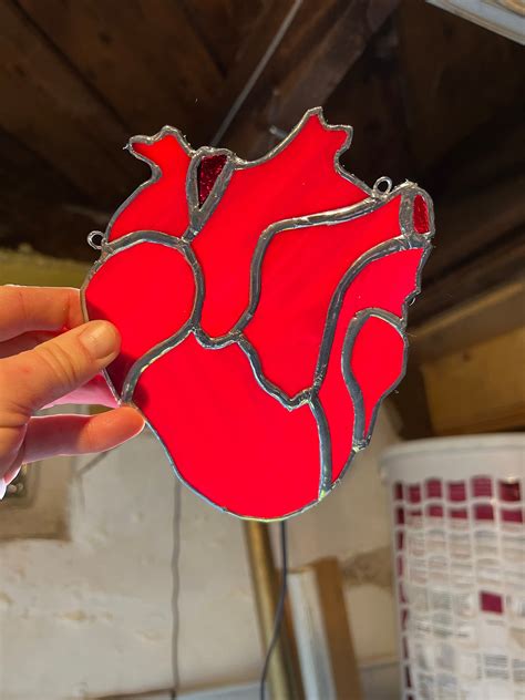 Stained Glass Anatomical Heart Etsy