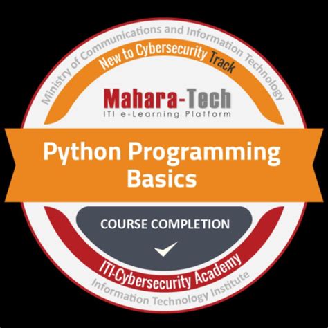 Python Programming Communications Informationtechnology Abdelrahman Ashour