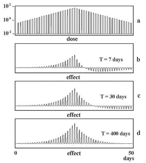Simulations With The Mathematical Model Of The Relation Between Dose