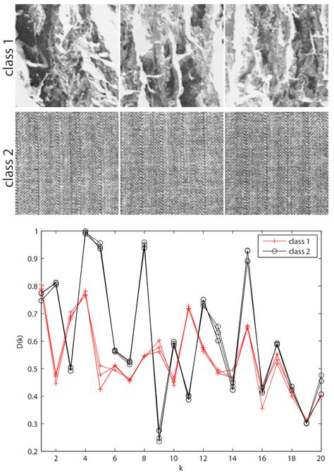 A Graphical Representation Of The Proposed Descriptors For Two Classes Download Scientific