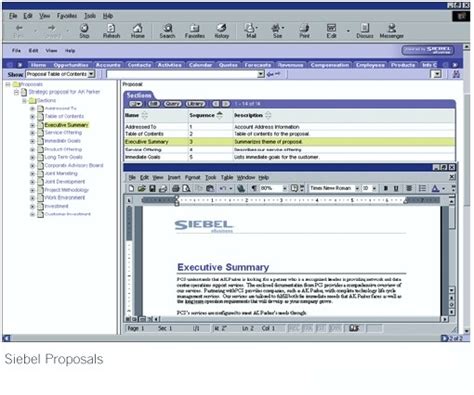 Siebel CRM