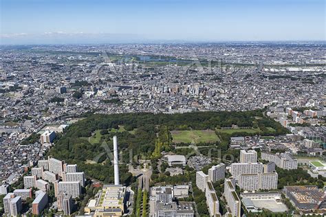 東京都練馬区 光が丘公園の空撮 208911983 の写真素材 アフロ