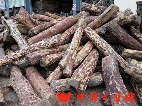 中联中心区最新到货精品赞比亚血檀 张家港木材网