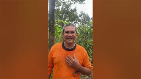 สวนทุเรียนน้านัทระยอง ชมดอกทุเรียนไม่พ่นสาร Youtube