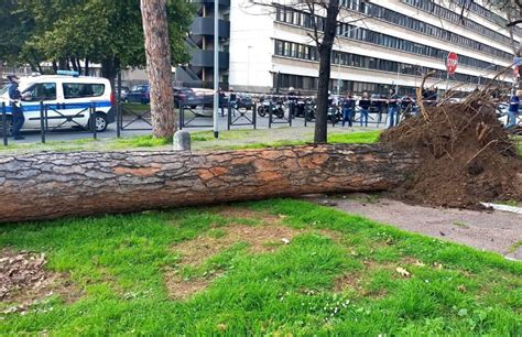 Roma Maxi Incidente Sulla Colombo Morto E Ferito Radio Colonna