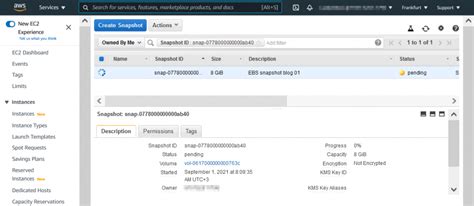 How To Create Snapshot Of EC Instance For Data Protection