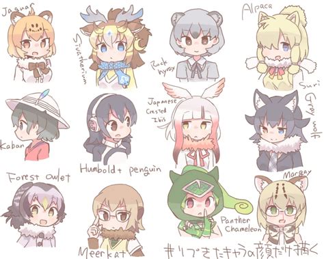 Kaban Japanese Crested Ibis Grey Wolf Alpaca Suri Jaguar And 7