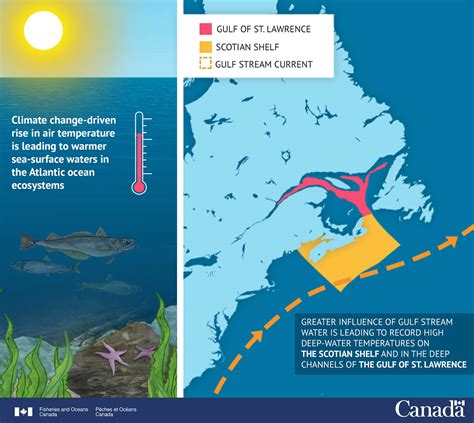 Infographic Warmer Water