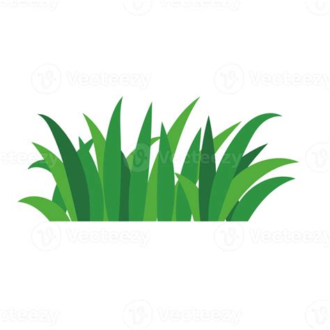 Natural Green Grass Bushes Decorate Environmental Ecology Cartoon Scene